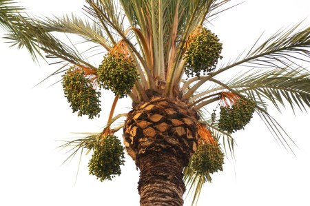 Documento sin título